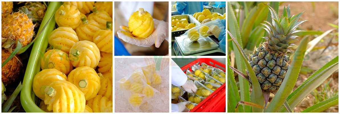 Products - Yes Fresh Fruit